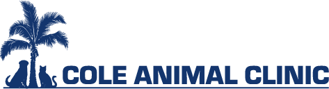Cole Animal Clinic | Professional Veterinary Care in Boca Raton, FL ...